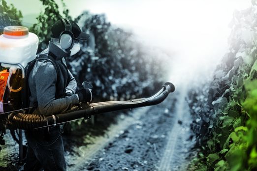 Catalogue | METEOR PISTON S.r.l.